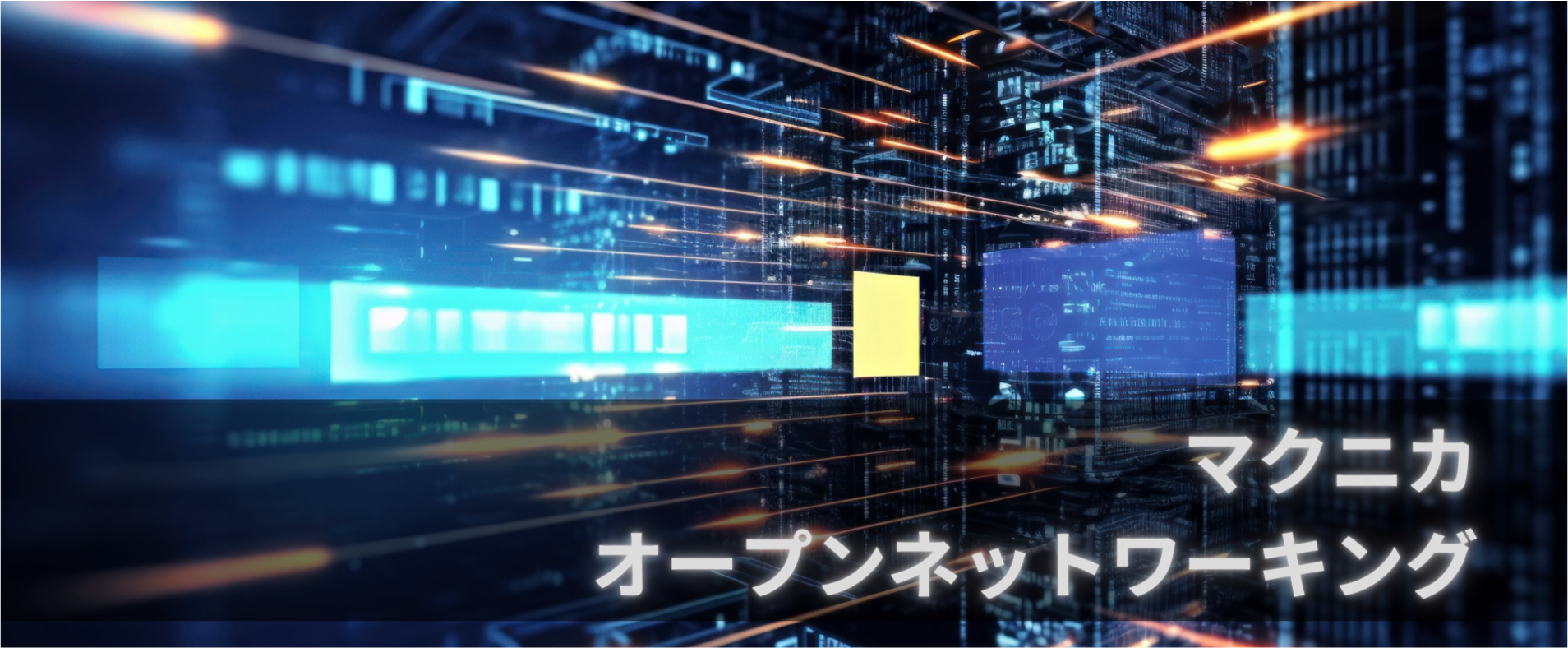 Macnica 's Open Networking -Macnica